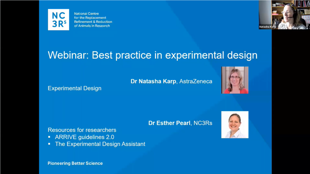 Understanding your experiment | NC3Rs EDA