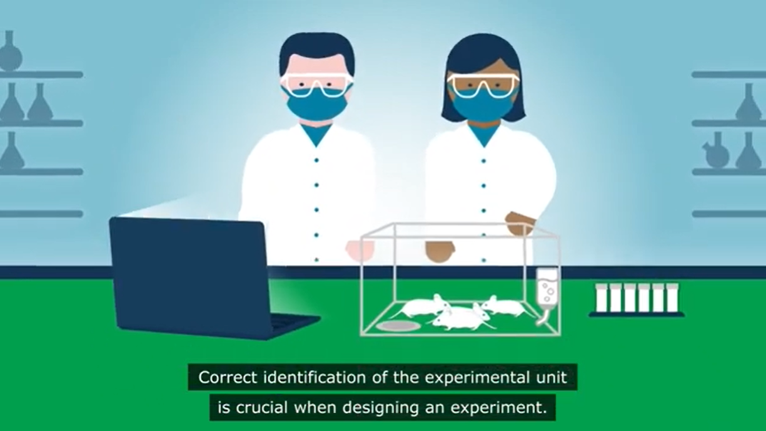 Blinding (masking) | NC3Rs EDA